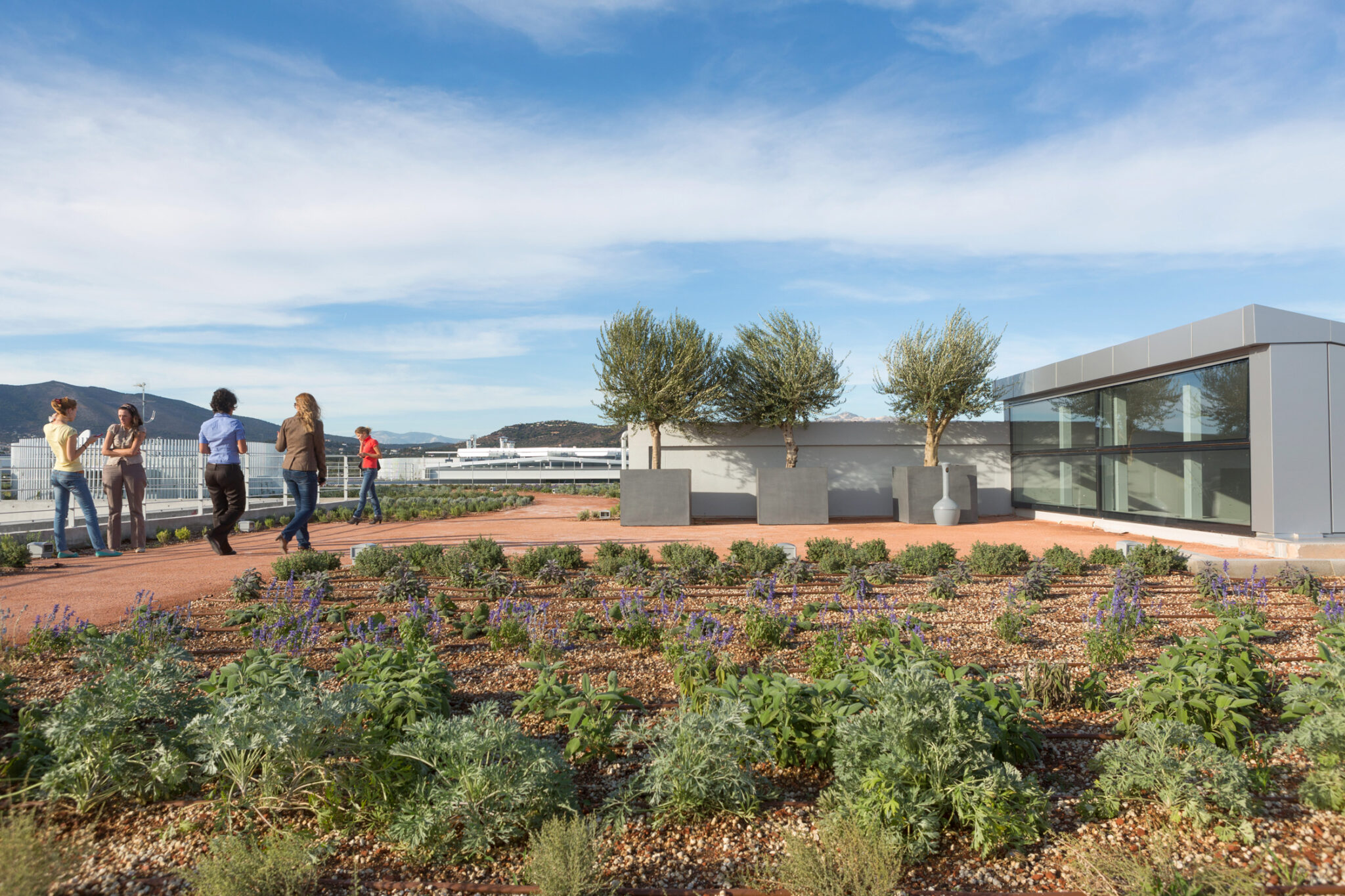 Karela Office Park - Dimand